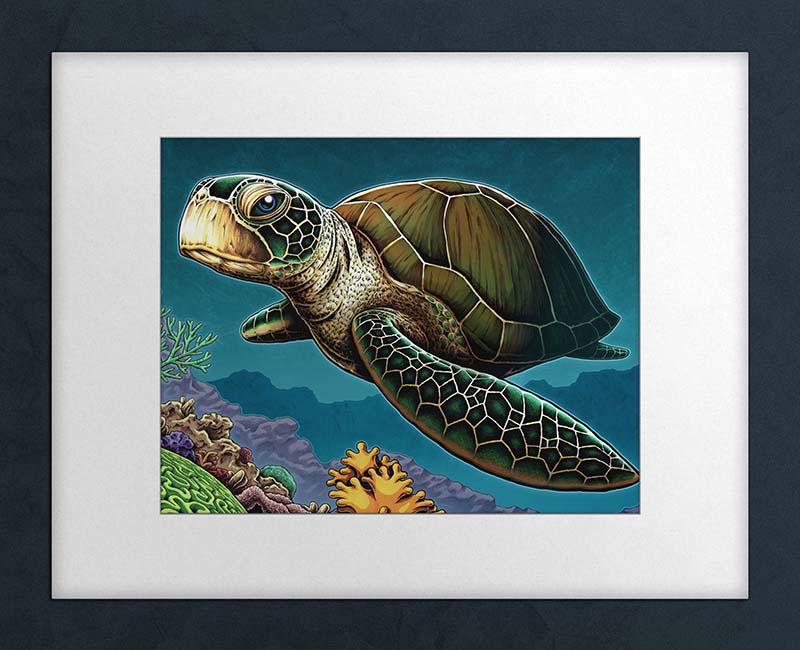 “Sea Turtle” Print – Nicholas Ivins