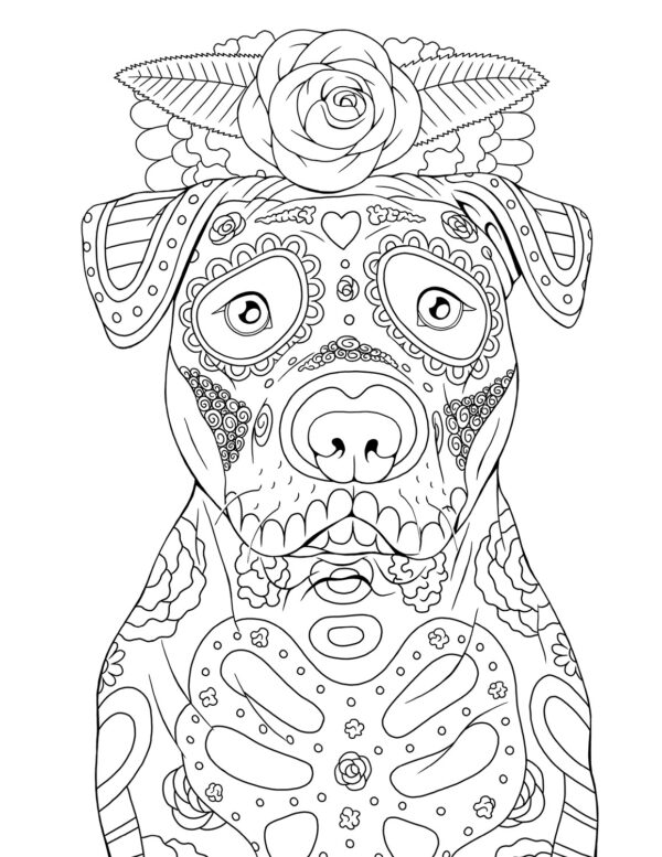more coloring book