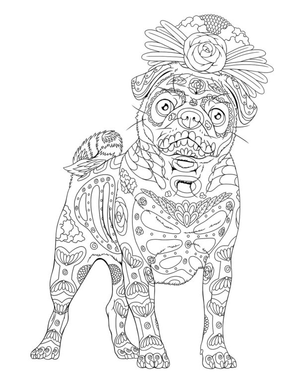 dog for coloring book